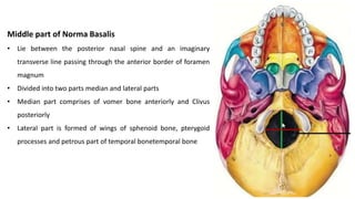 Normas of skull | PPTX