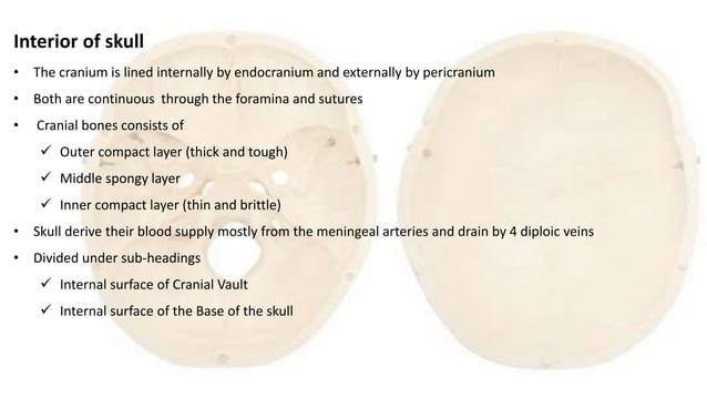 Normas of skull | PPTX