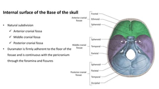 Normas of skull | PPTX