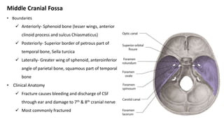 Normas of skull | PPTX