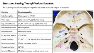 Normas of skull | PPTX