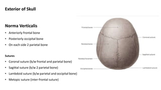 Normas of skull | PPTX