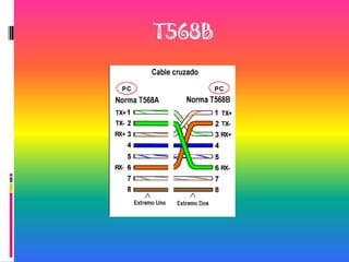 Normas t568 a y b | PPTX | Technology & Computing