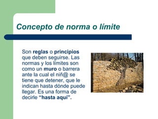 Normas y límites | PPT