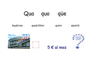 Normes d'ortografia pel cicle inicial | DOC
