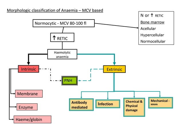 Normochromic normocytic anaemia | PPTX | Blood Disorders | Diseases and ...