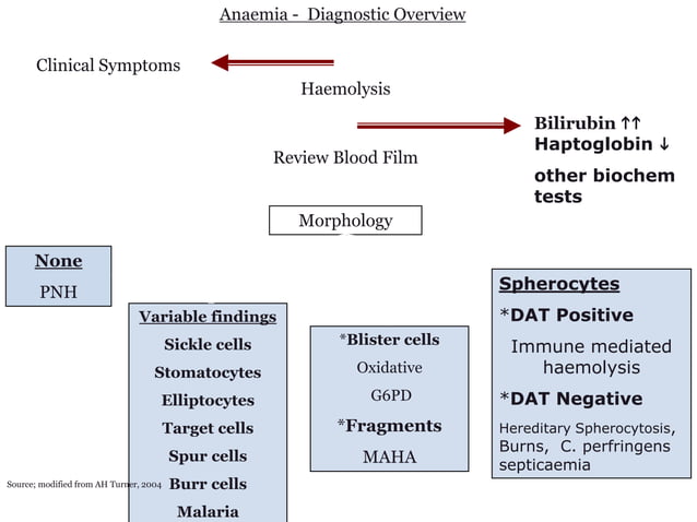 Normochromic normocytic anaemia | PPTX | Blood Disorders | Diseases and ...