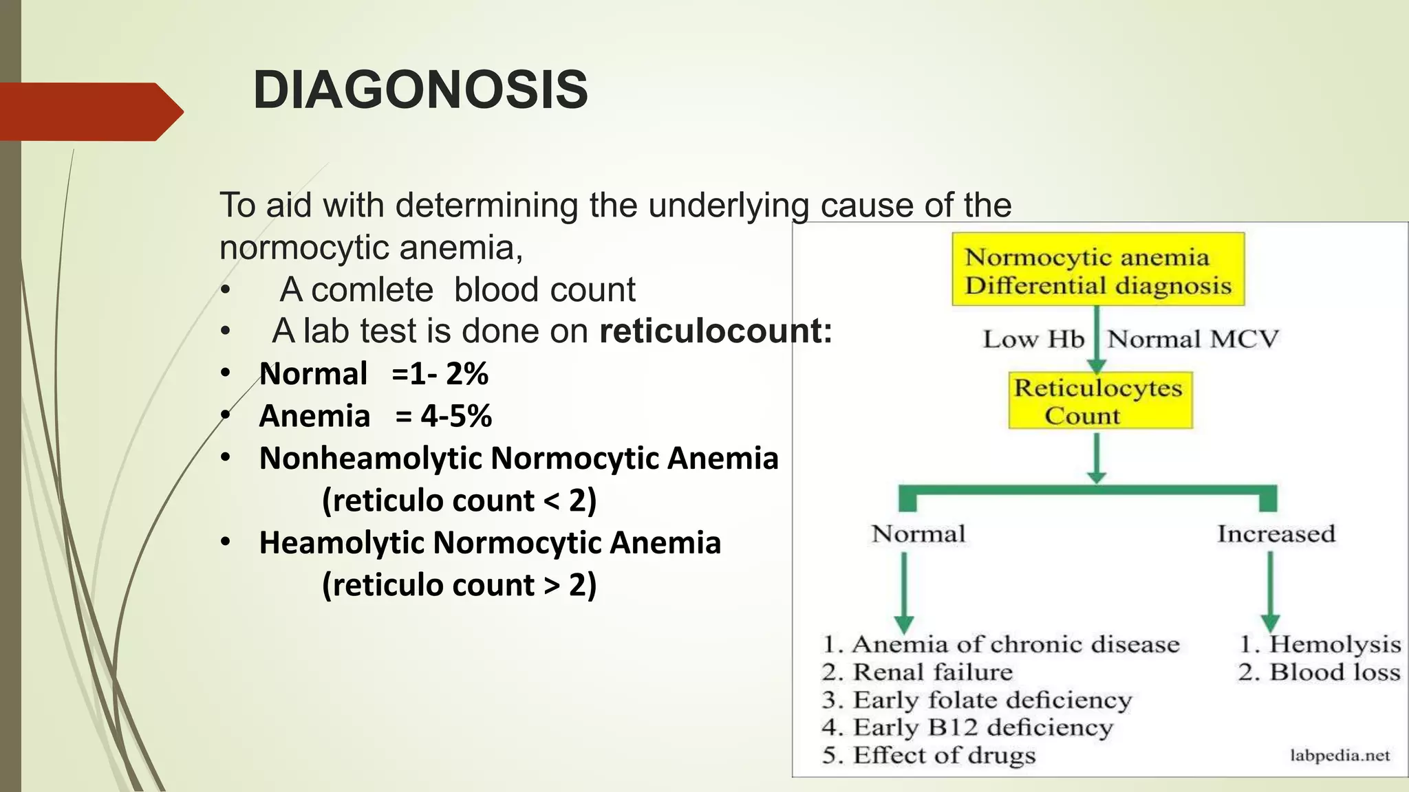 Normocytic anemia | PPTX | Blood Disorders | Diseases and Conditions
