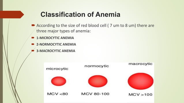 Normocytic anemia | PPTX | Blood Disorders | Diseases and Conditions