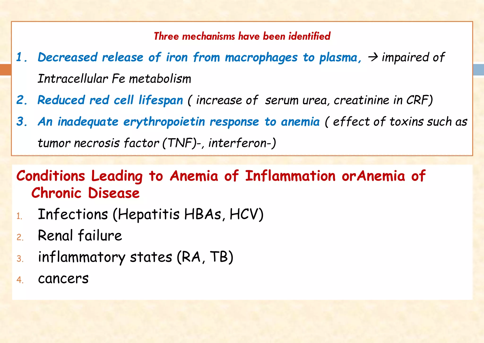 Normocytic Anemias.pdf | Blood Disorders | Diseases and Conditions