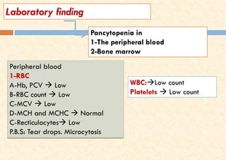 Normocytic Anemias.pdf | Blood Disorders | Diseases and Conditions