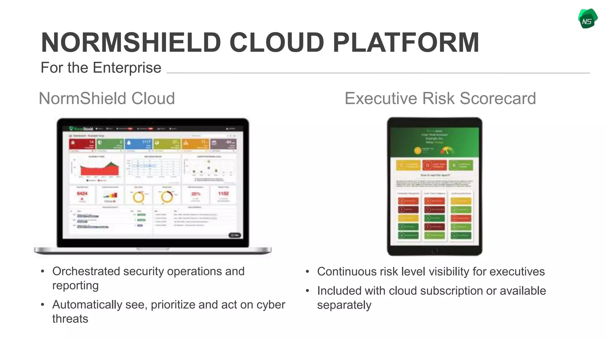 NormShield Cyber Threat & Vulnerability Orchestration Overview | PPTX