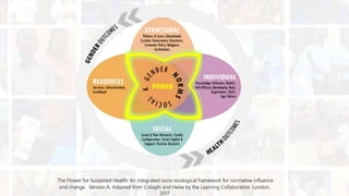 Presentation_Igras - Norms Shifting Interventions | PPTX