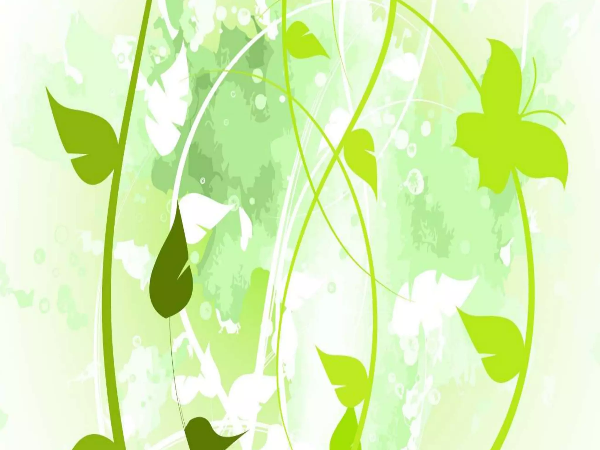 pain neuropathophysiology | PPTX