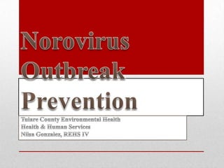 Norovirus Prevention