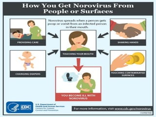 Norovirus | PPT