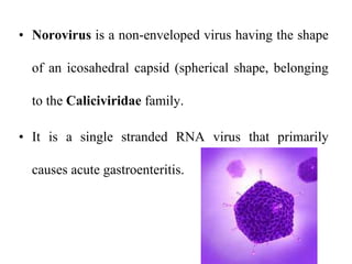 Norovirus | PPT