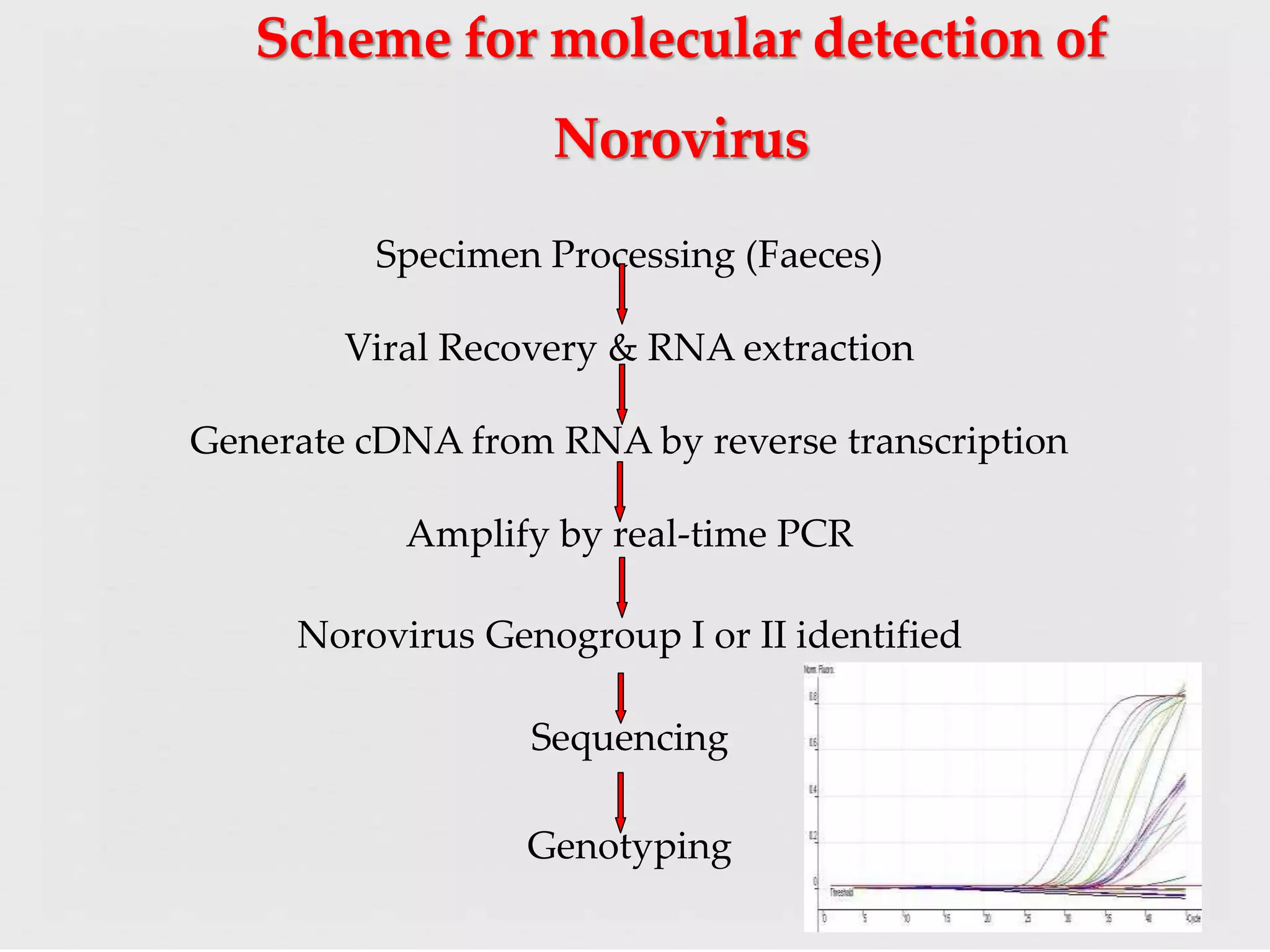 norovirus.pptx