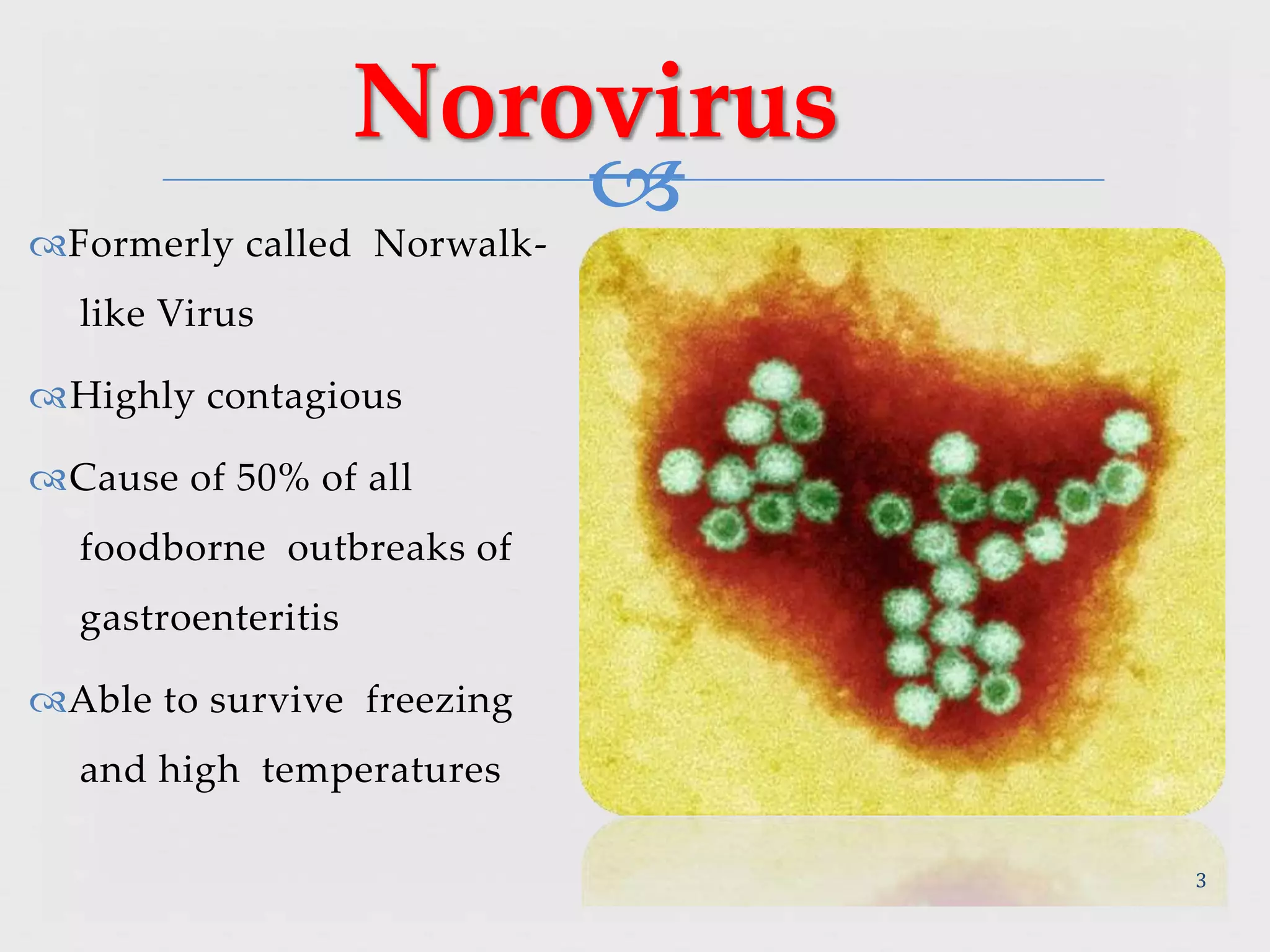 norovirus.pptx