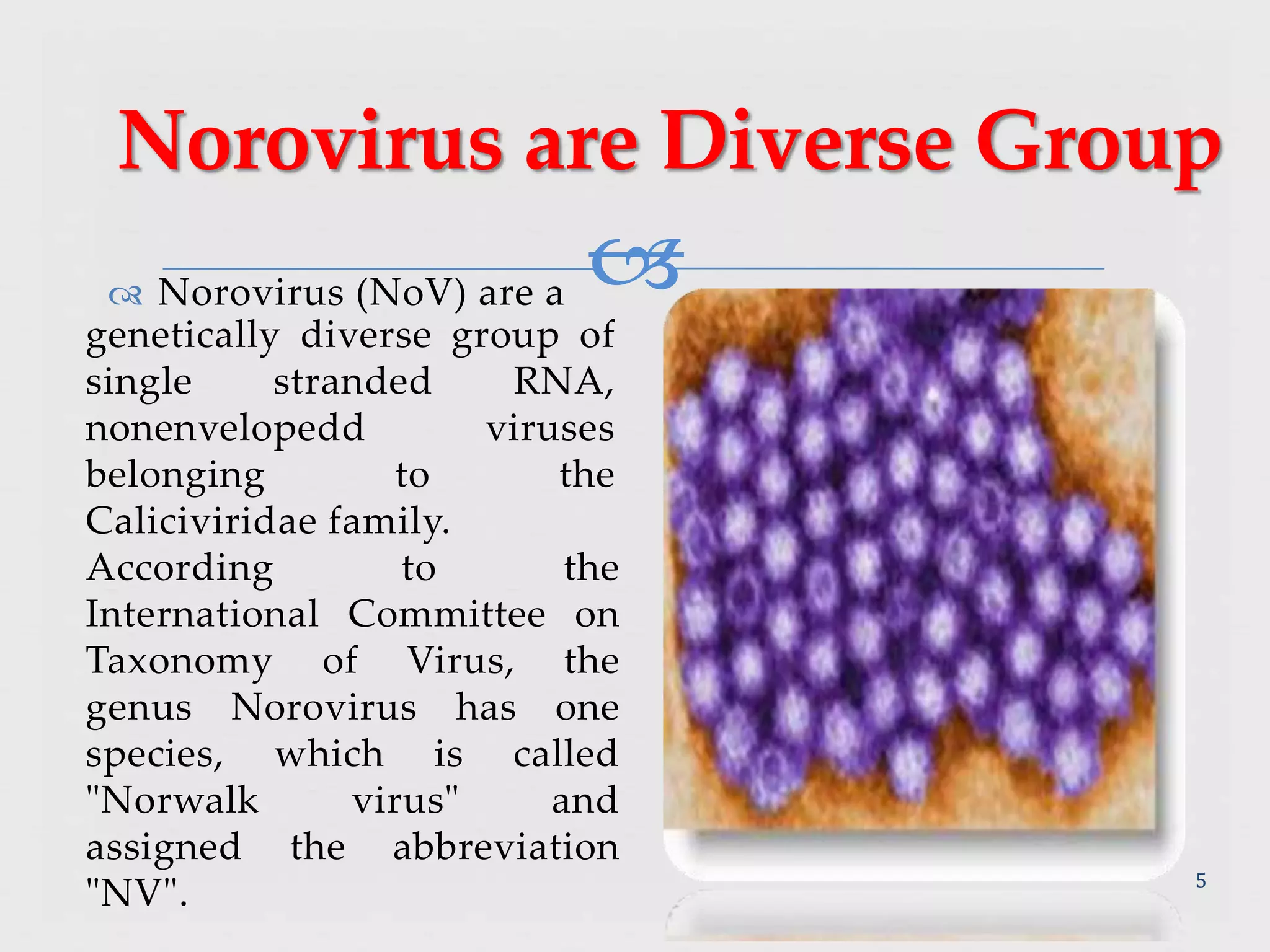 norovirus.pptx
