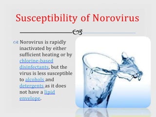 norovirus.pptx