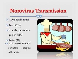 Norovirus Transmission