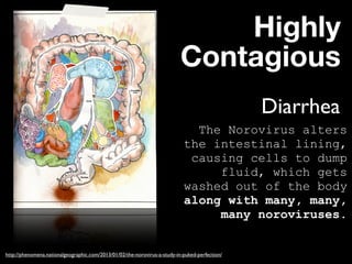 The Perfect Human Pathogen | PDF