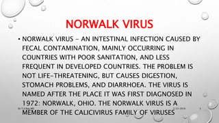 Norwalk Virus Causes