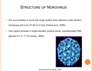 MOLECULAR DETECTION OF NOROVIRUS GI AND GII GENOTYPES FROM CHILDREN ...