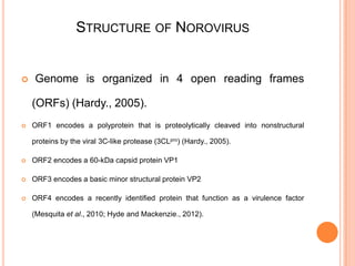 MOLECULAR DETECTION OF NOROVIRUS GI AND GII GENOTYPES FROM CHILDREN ...