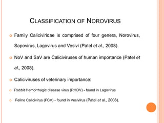 MOLECULAR DETECTION OF NOROVIRUS GI AND GII GENOTYPES FROM CHILDREN ...
