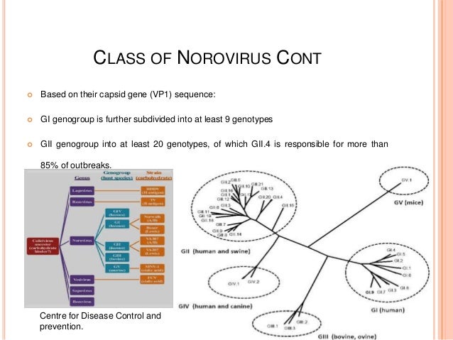 MOLECULAR DETECTION OF NOROVIRUS GI AND GII GENOTYPES FROM CHILDREN L…