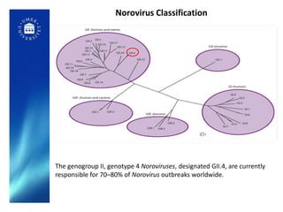 Norovirus | PPTX