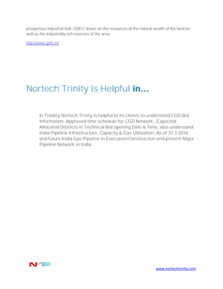 Nortech trinity EPC opportunity in fertilizer plants in india | PDF
