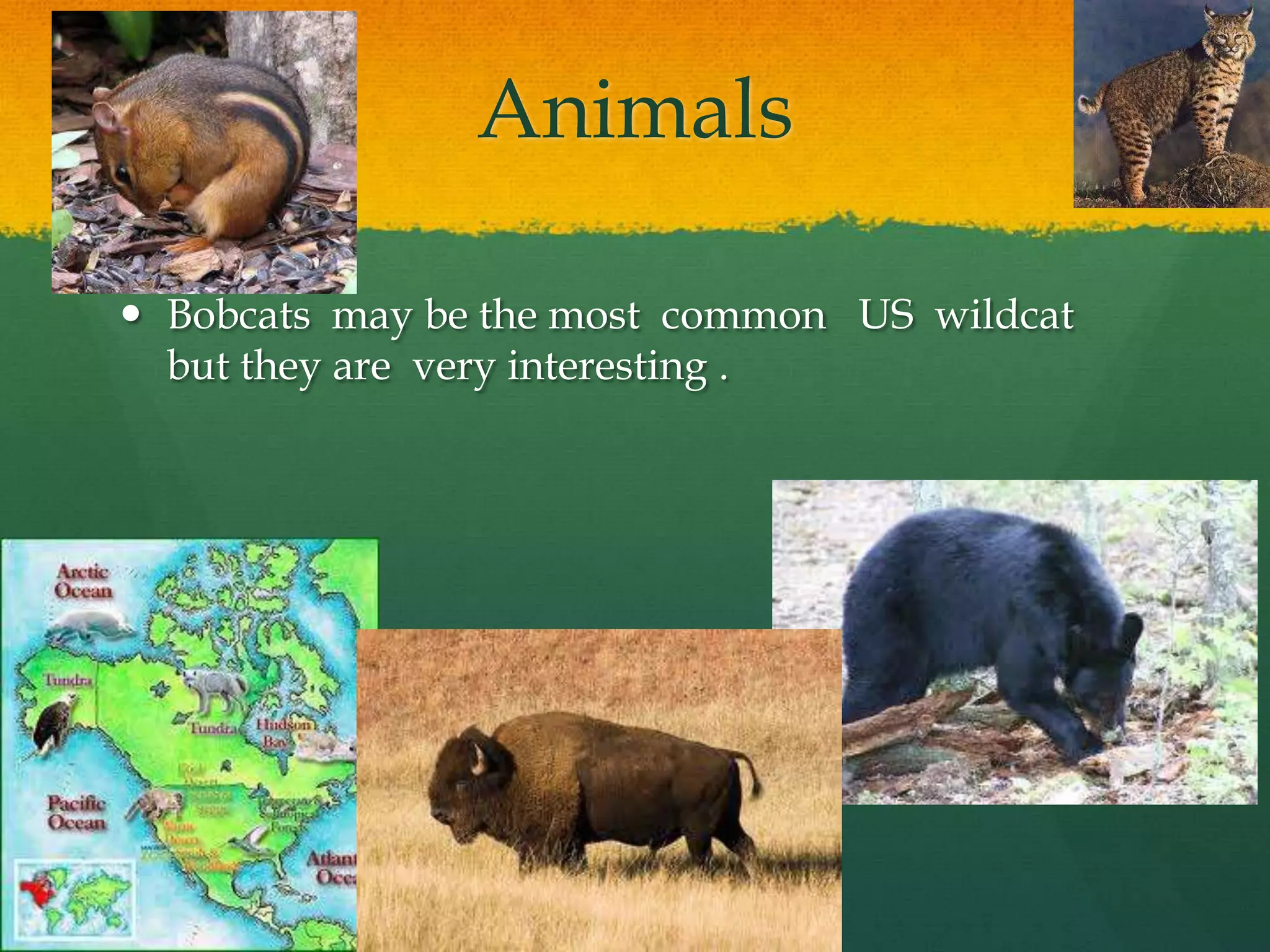 North america | PPTX