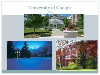 North American Mobility | PPT