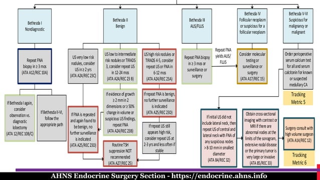 North American quality statements and evidence based multidisciplinary ...