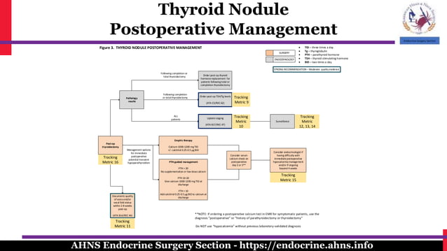 North American quality statements and evidence based multidisciplinary ...