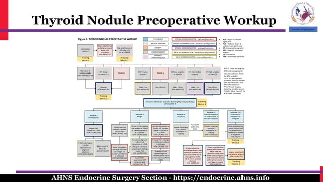 North American quality statements and evidence based multidisciplinary ...