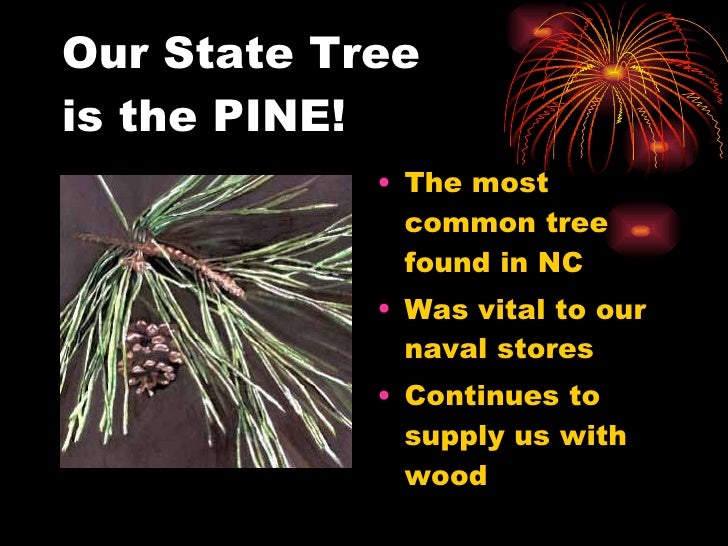 north-carolina