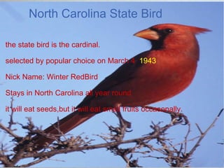 North Carolina[1] | PPT