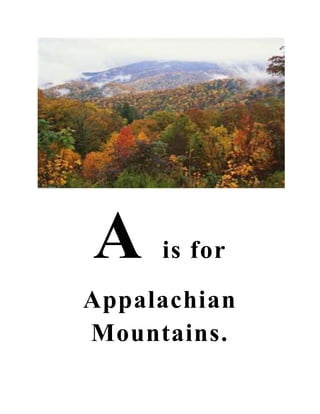 North Carolina Alphabet | DOCX