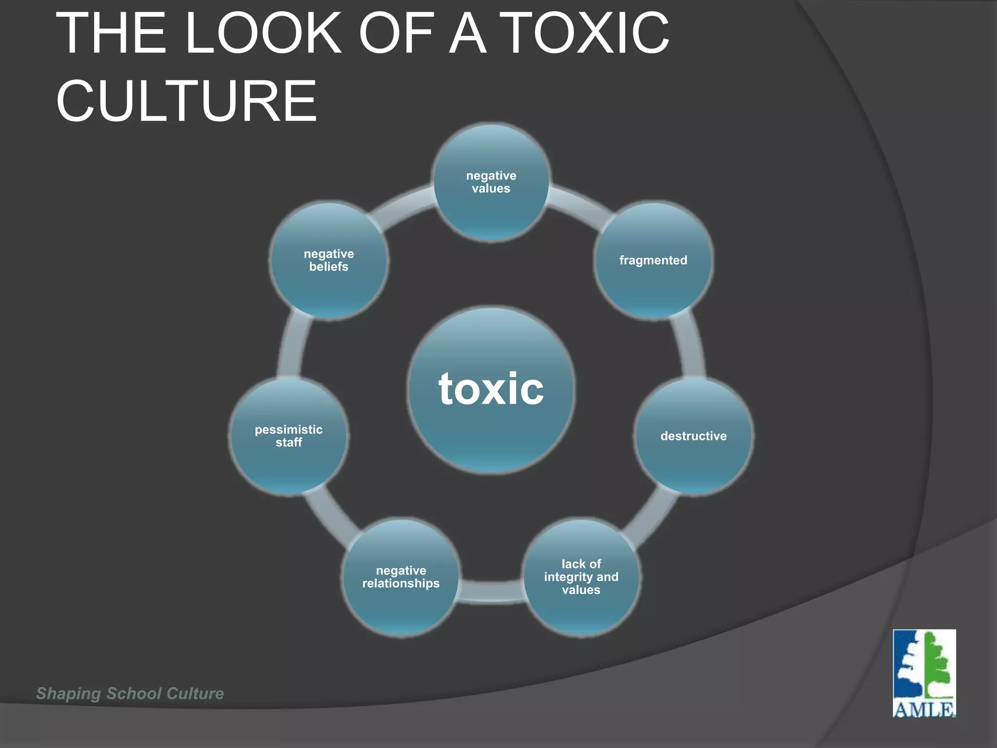 Practical Ideas to Transform Your School Culture and Create a Vision | PPTX