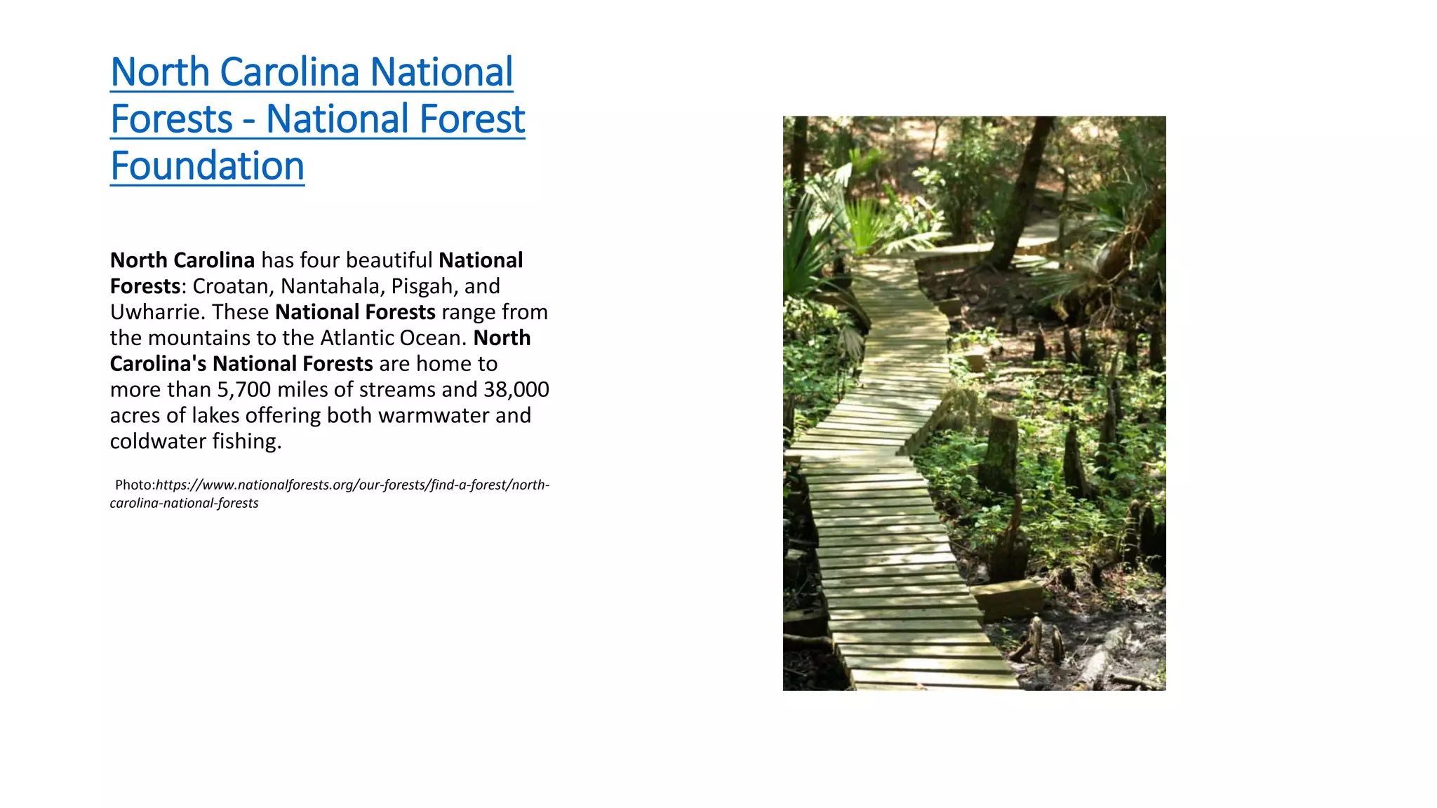North Carolina's forests | PPTX