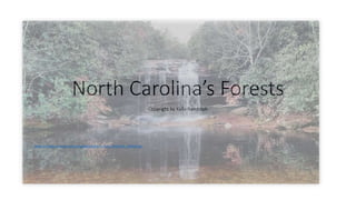 North Carolina's forests | PPTX | North America Travel | Travel Locations