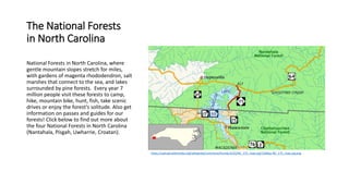 North Carolina's forests | PPTX