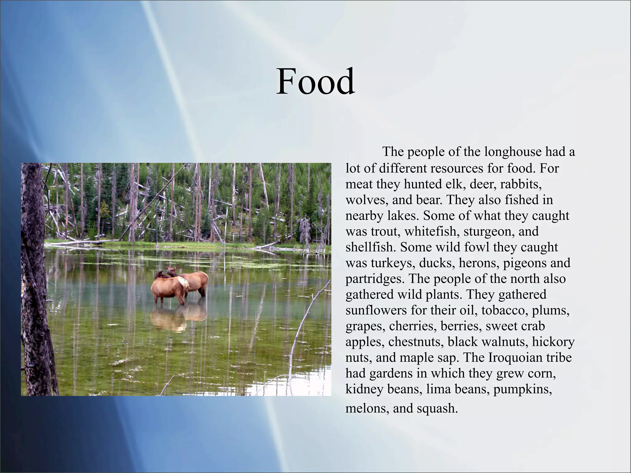 Northeast Native Americans | PDF