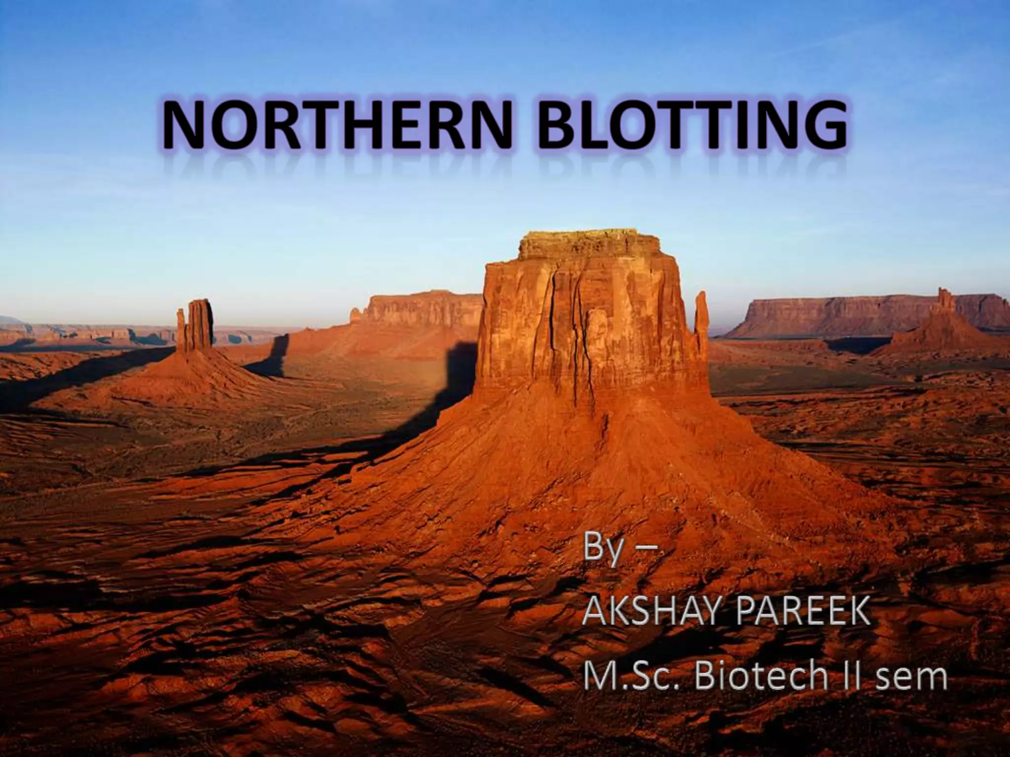 Northern blotting | PPTX