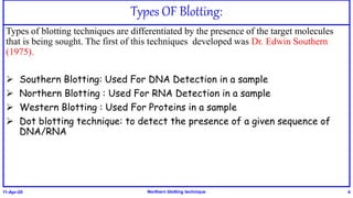 Northern blotting | PPTX