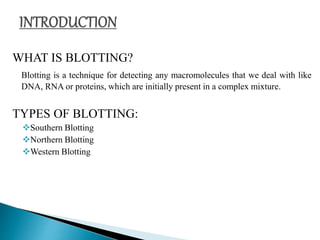 NORTHERN BLOTTING.pptx
